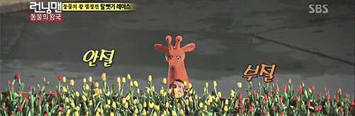 Running Man Ep 141 discussion post: omonatheydidnt — LiveJournal