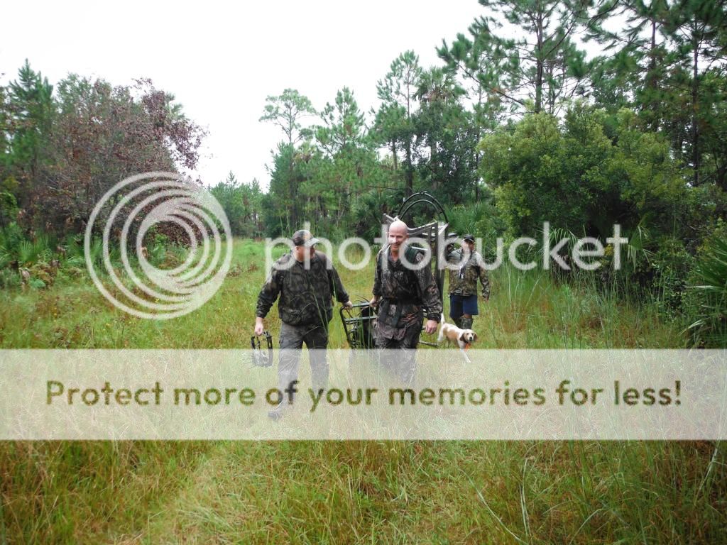 Florida public land 10 pt | Archery Talk Forum