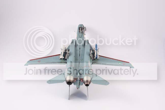 Tom-e-cat - Aircraft Modern - Britmodeller.com