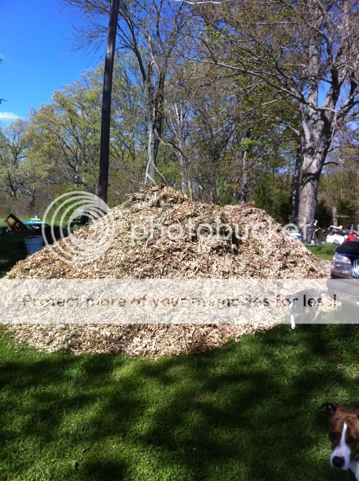 My Wood Chip Pile | Homesteading Forum